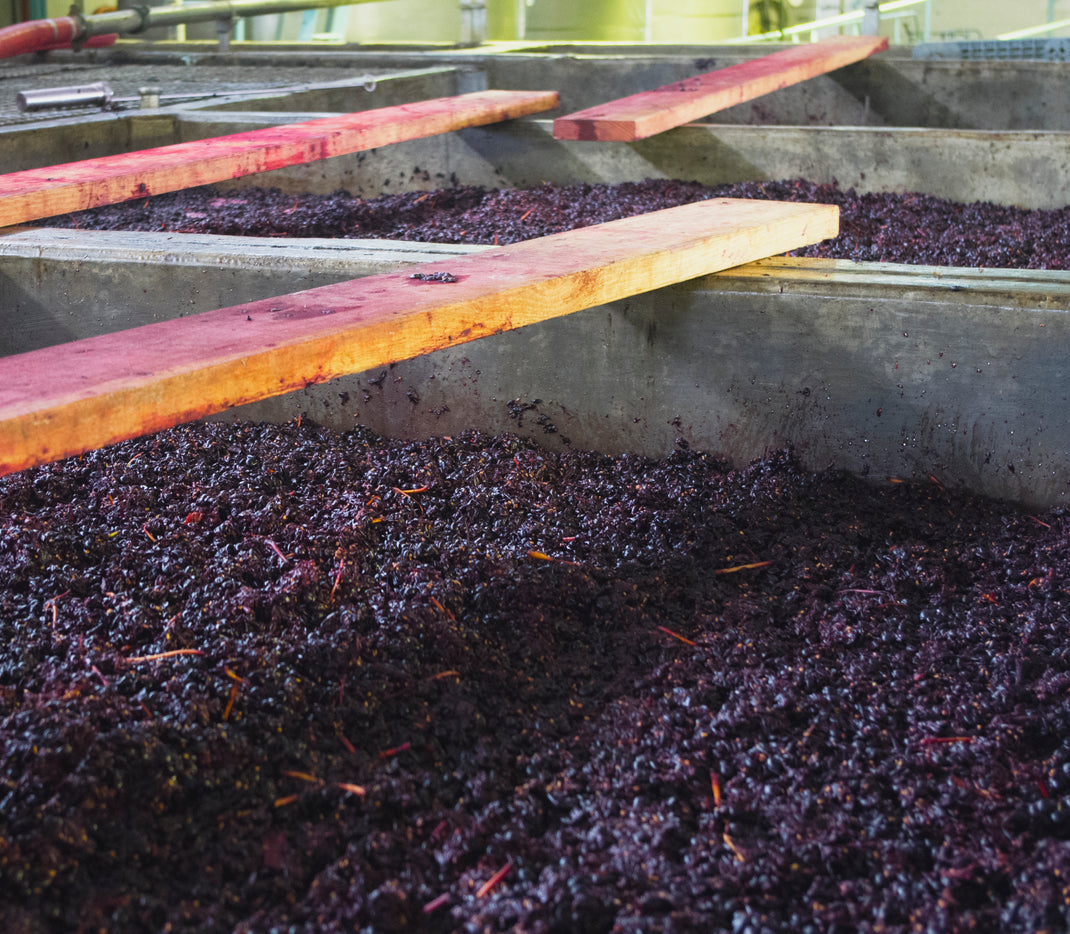 Contract Winemaking & Processing – Jack Estate